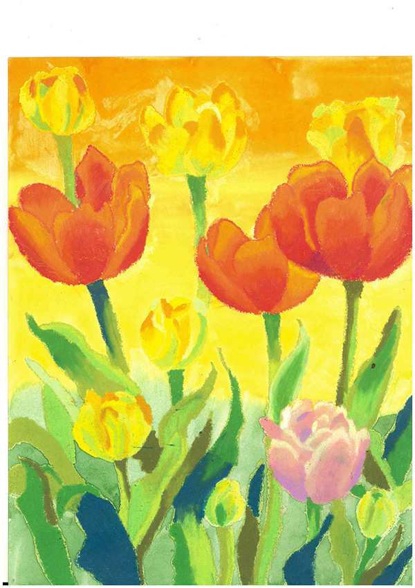 Hong Kong Flower Show Drawing Competition | Best Flower Site