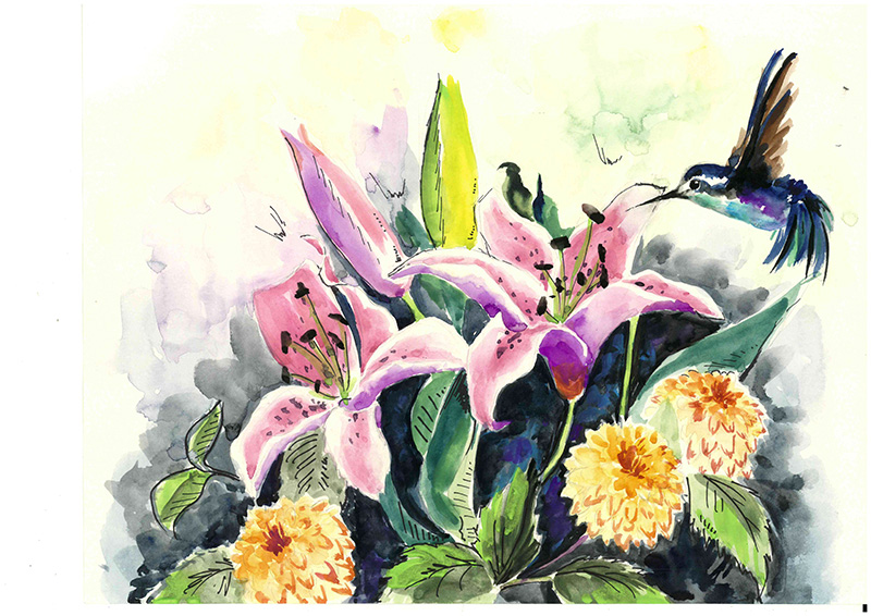 Flowers Images For Drawing Competition | Best Flower Site