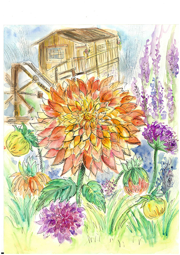 Flowers Images For Drawing Competition | Best Flower Site