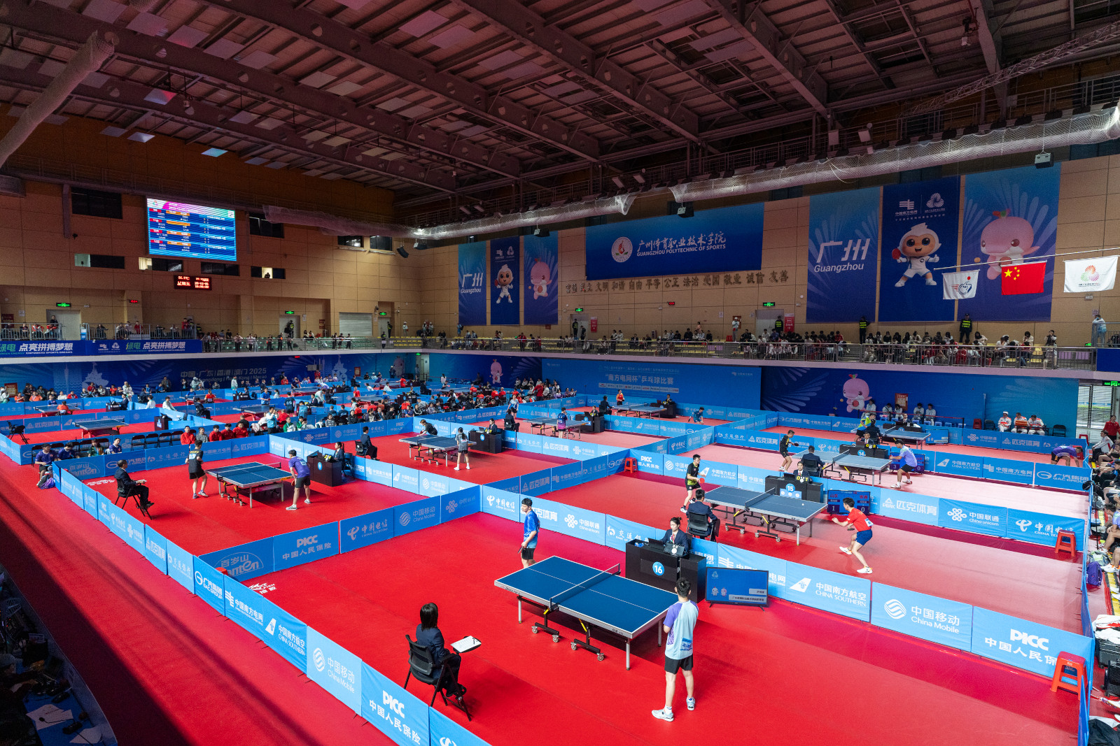 Table Tennis Highlights