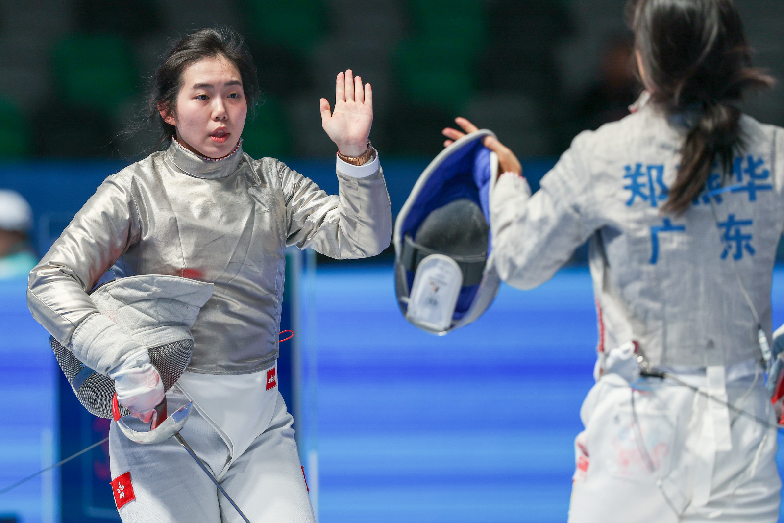 Fencing Highlights
