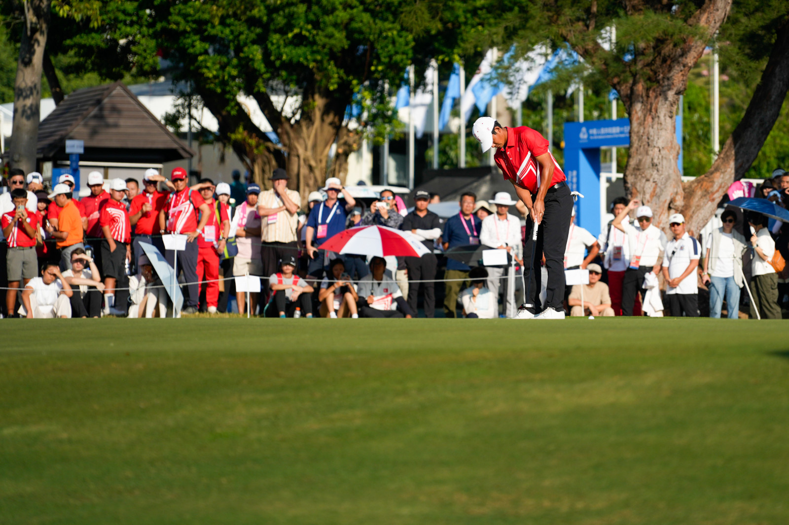 Golf Highlights