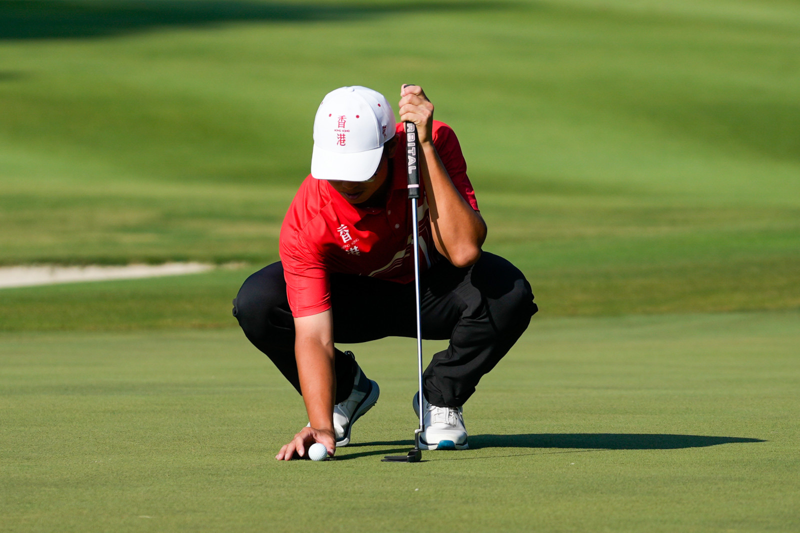 Golf Highlights