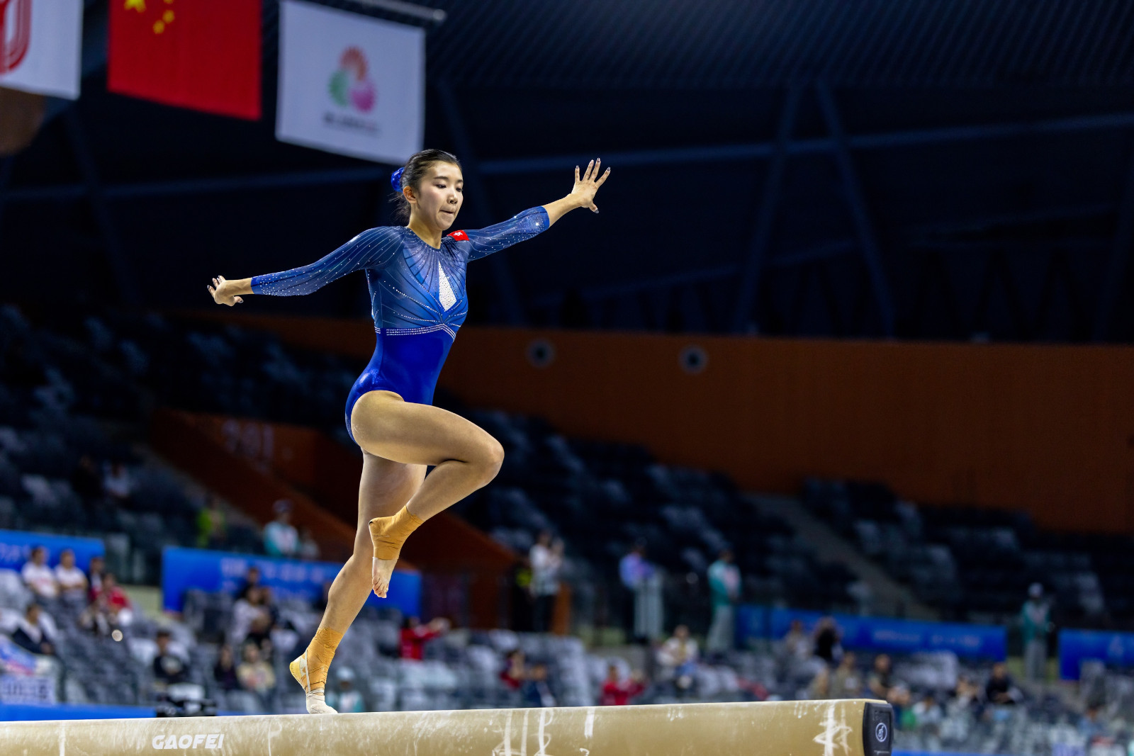 Gymnastics Highlights