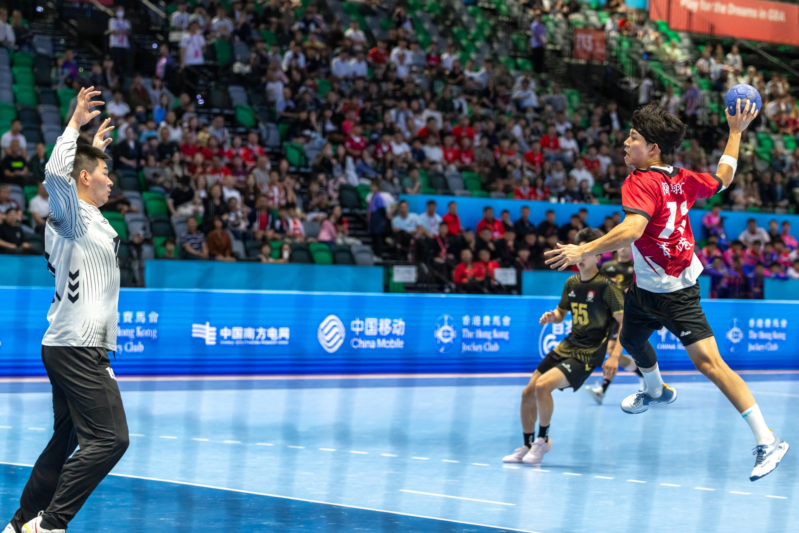 Handball Highlights