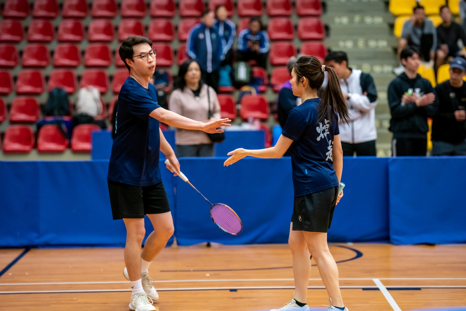 Badminton Highlights